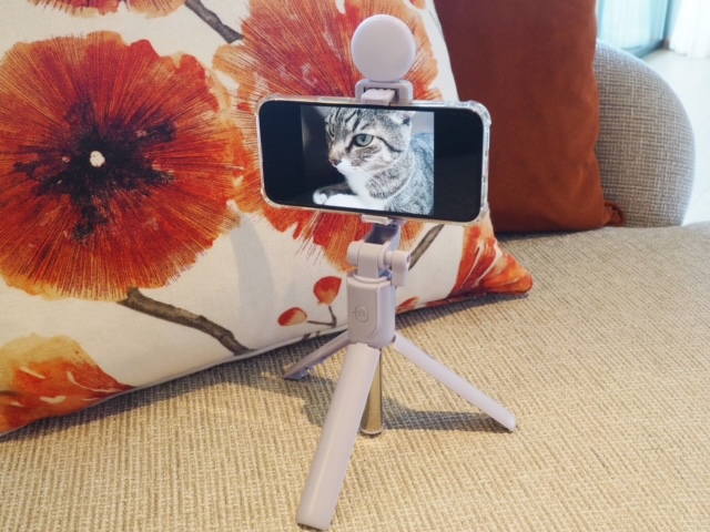 3coins_ledtripod_230531_8 | 3coins_ledtripod_230531_8.jpg | 女子SPA！